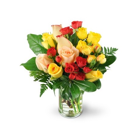 Uganda Rose delight Delivery